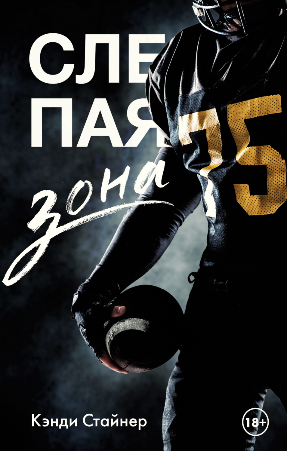 Слепая зона, Кэнди Стайнер – скачать книгу fb2, epub, pdf на Литрес